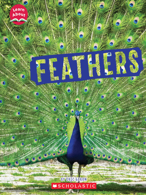 Libby - Feathers